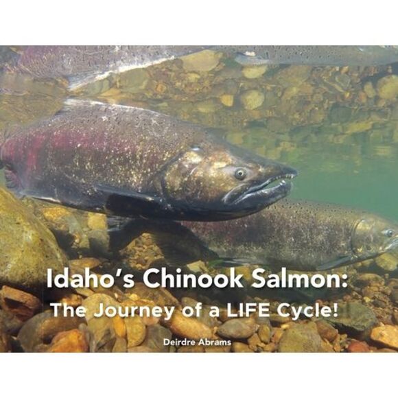 Deirdre A. Abrams | Other | Idahos Chinook Salmon The Journey Of A Life ...